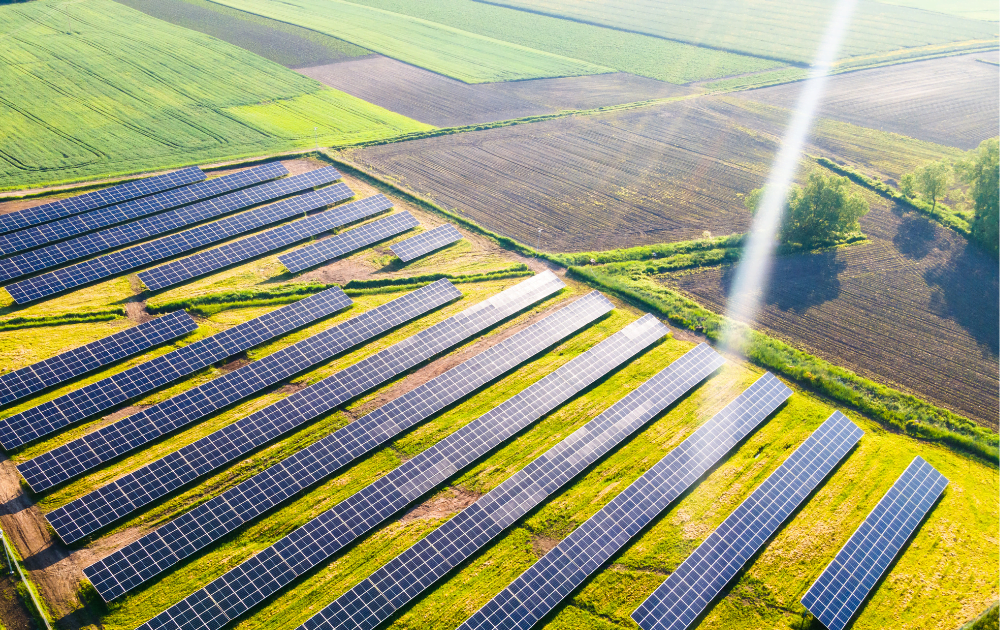 Restoring Farmland with Solar Arrays - SunVest